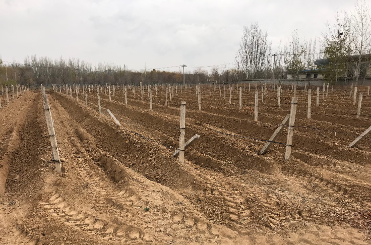 France supports China’s membership of the United Nations of wine